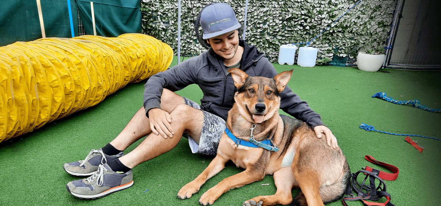 Home Page - Second Chance Animal Rescue