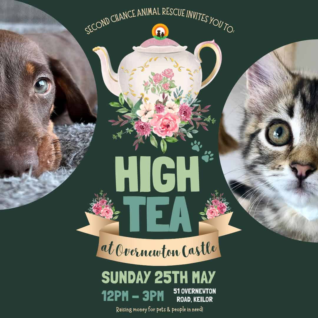 High Tea at Overnewton Castle - Second Chance Animal Rescue