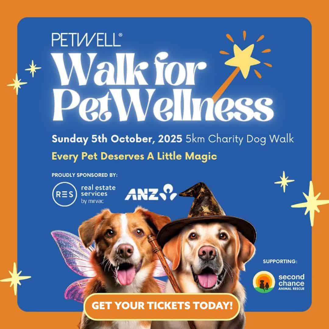 Walk For Petwellness 2025 - Second Chance Animal Rescue